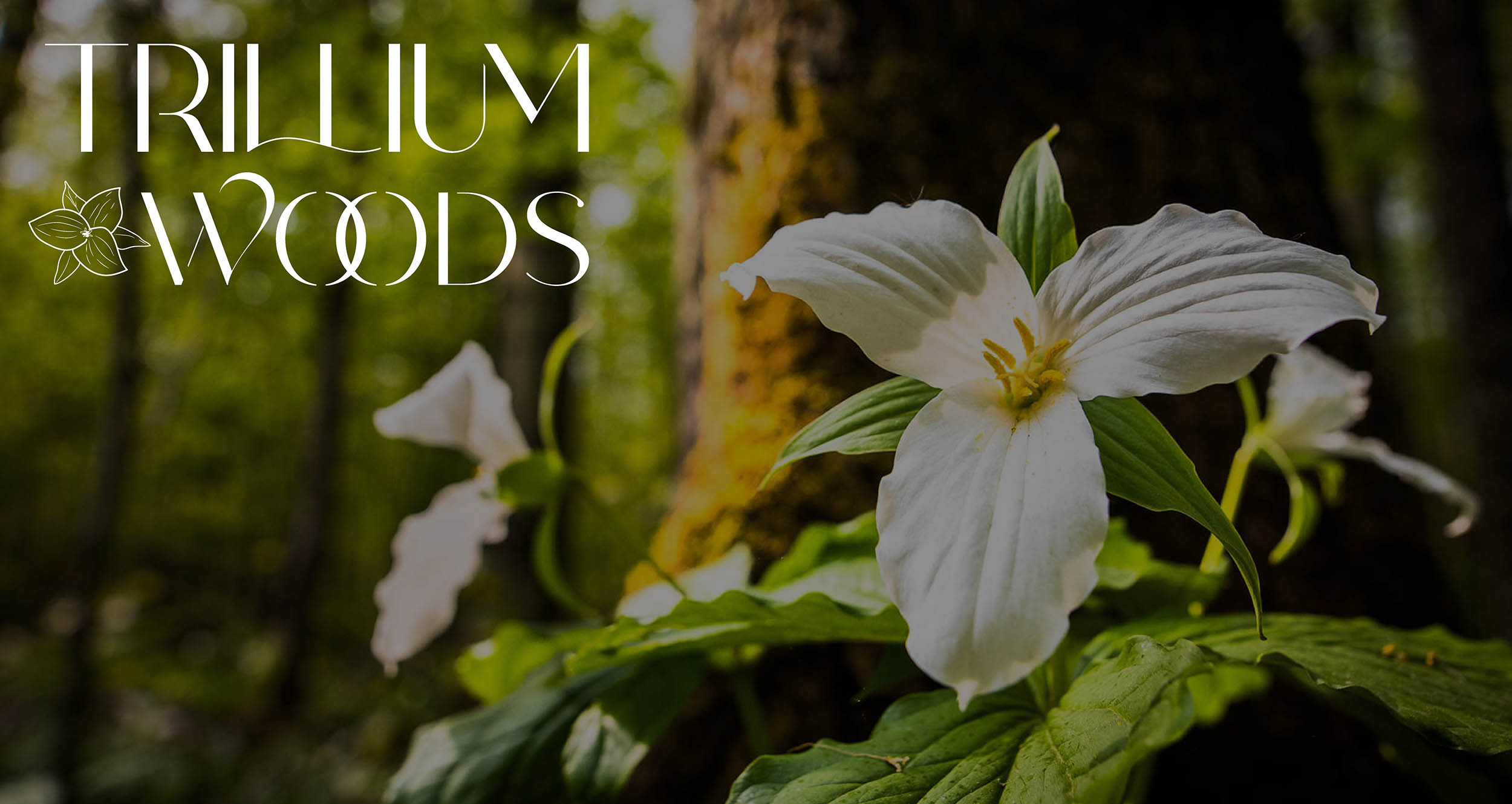 Trillium Woods | Wedding & Event Venue